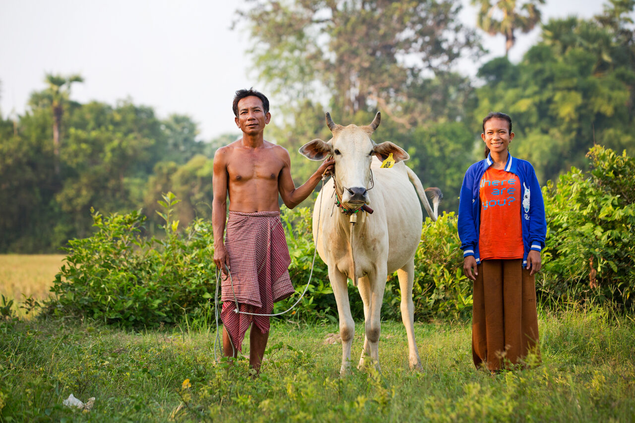 Cows for Cambodia - South Aussie with Cosi